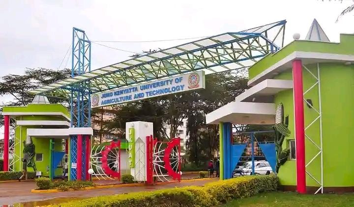 The Four Brothers of Shame: A Tale of Lost Glory and Rising Hope ...